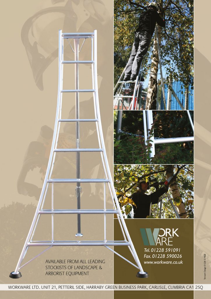 Tripod Ladder leaflet design - Tennant Design